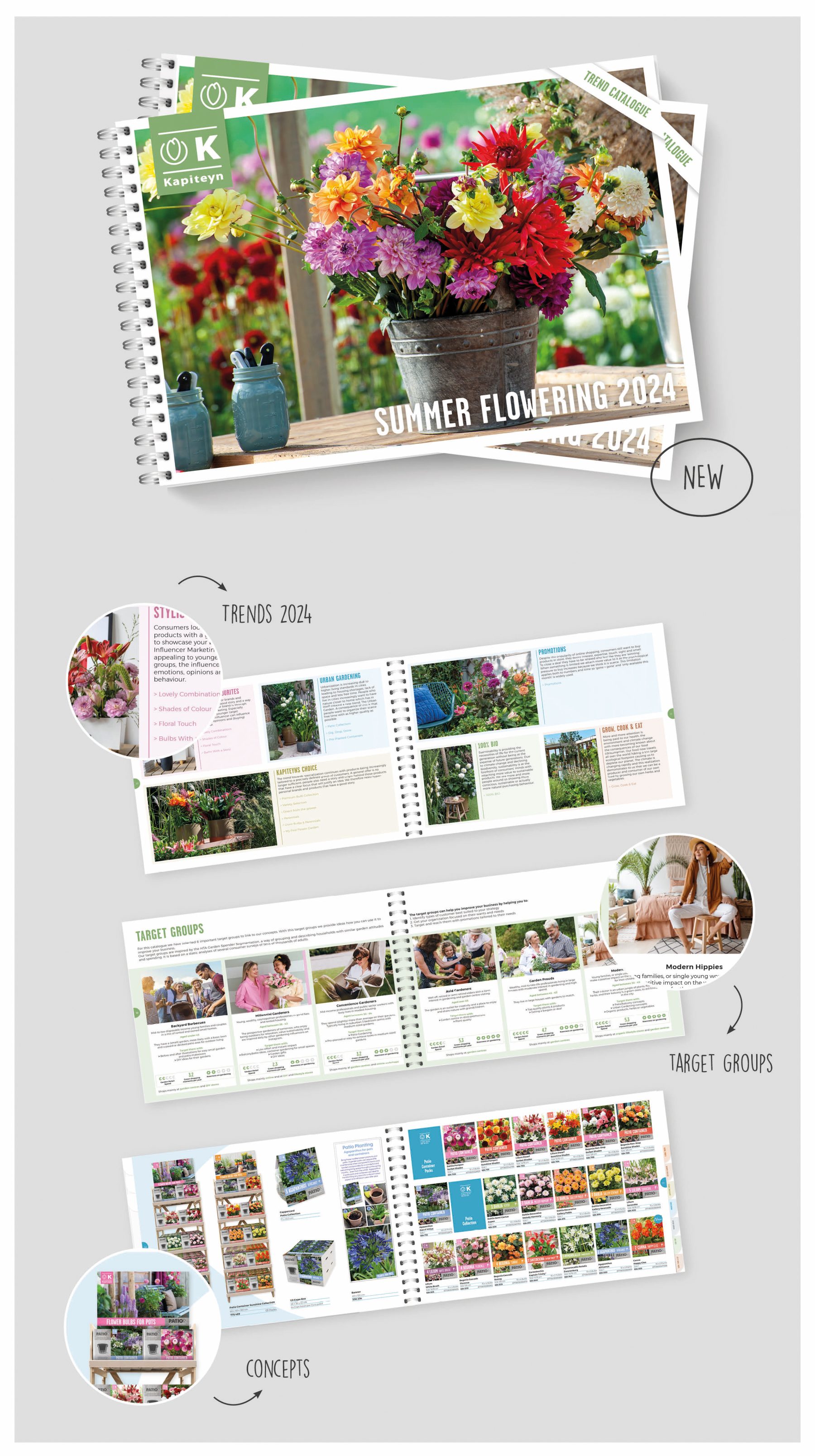 New catalogue: Summer Flowering Collection 2024 - Kapiteyn group