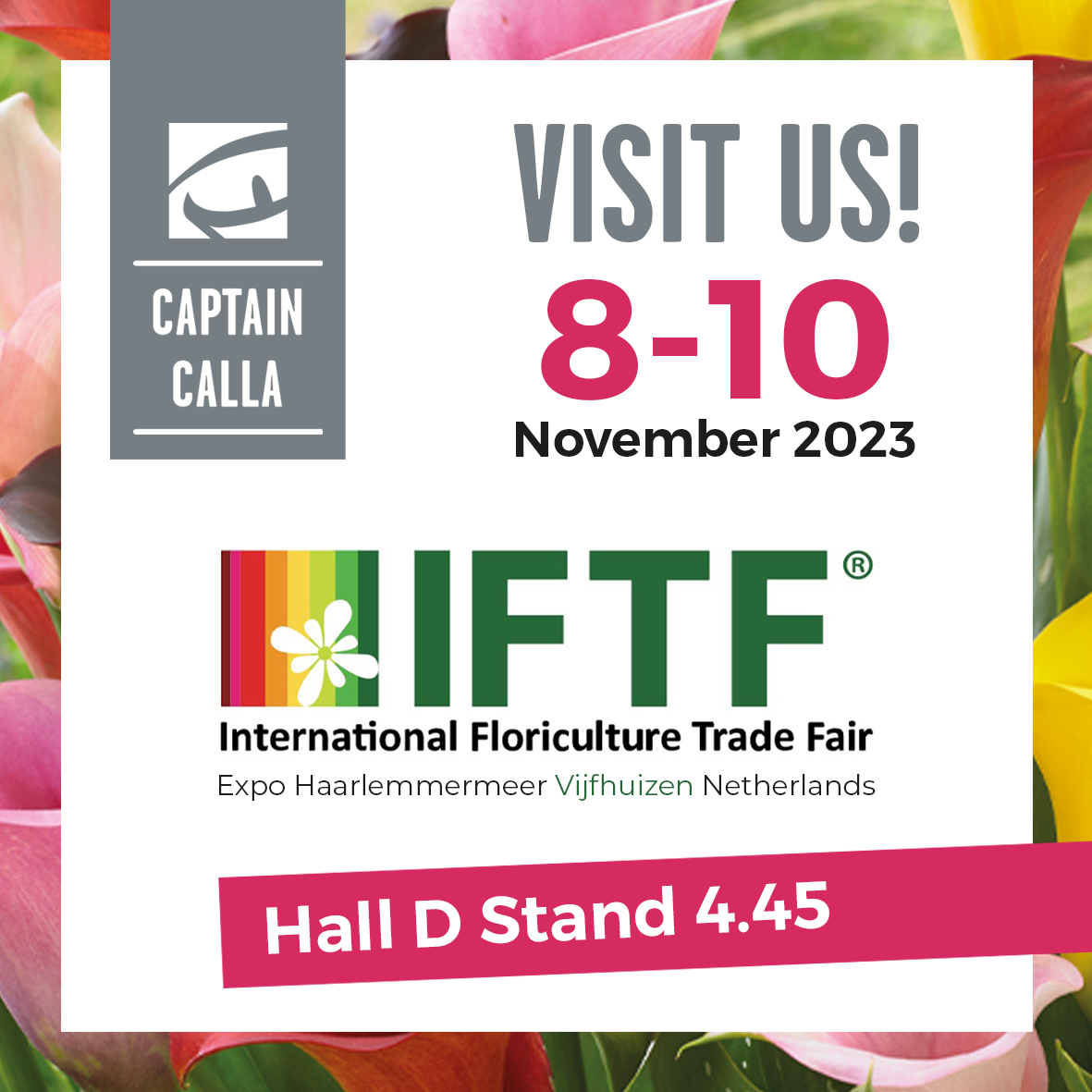 Captain Calla at IFTF 2023 - Kapiteyn group