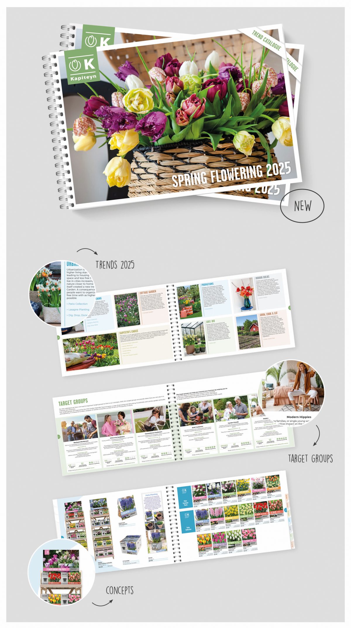 New catalogue: Spring Flowering Collection 2025 - Kapiteyn group
