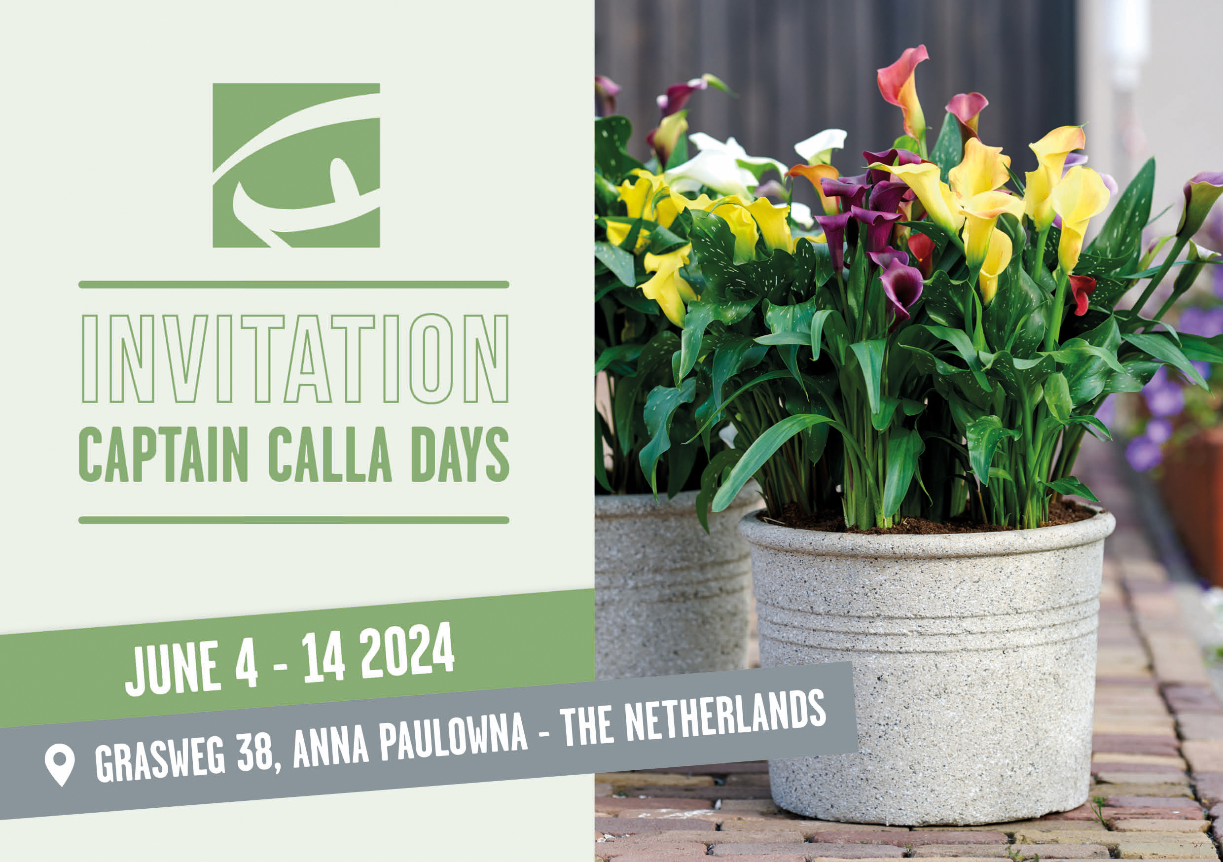 Uitnodiging voor de Captain Calla Days 2024 - Kapiteyn group