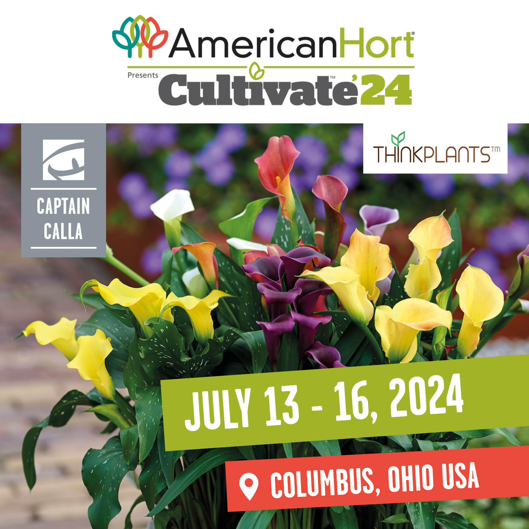 Cultivate '24 | 13 - 16 July - Kapiteyn group